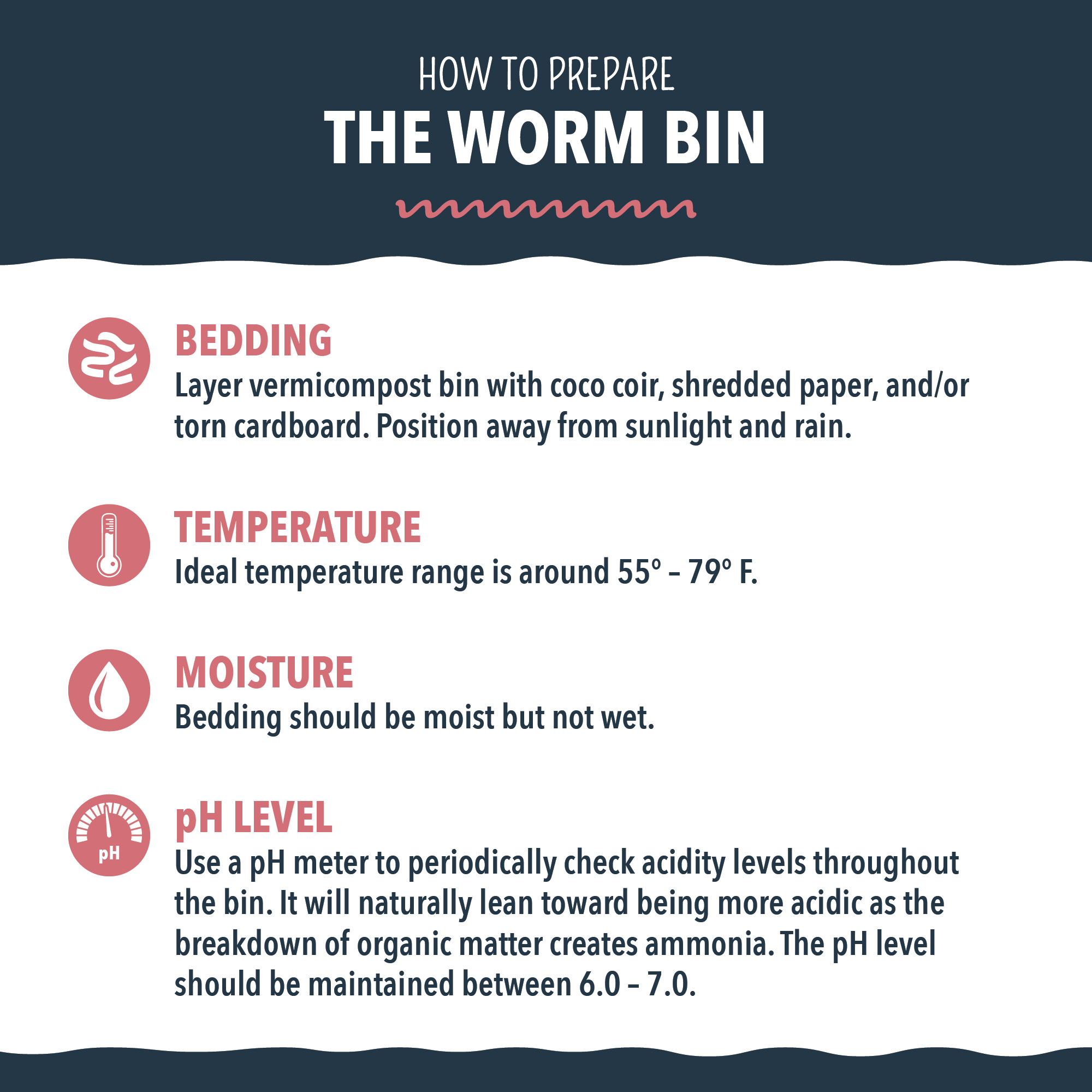 Live Composting Worms | Worm Nerd